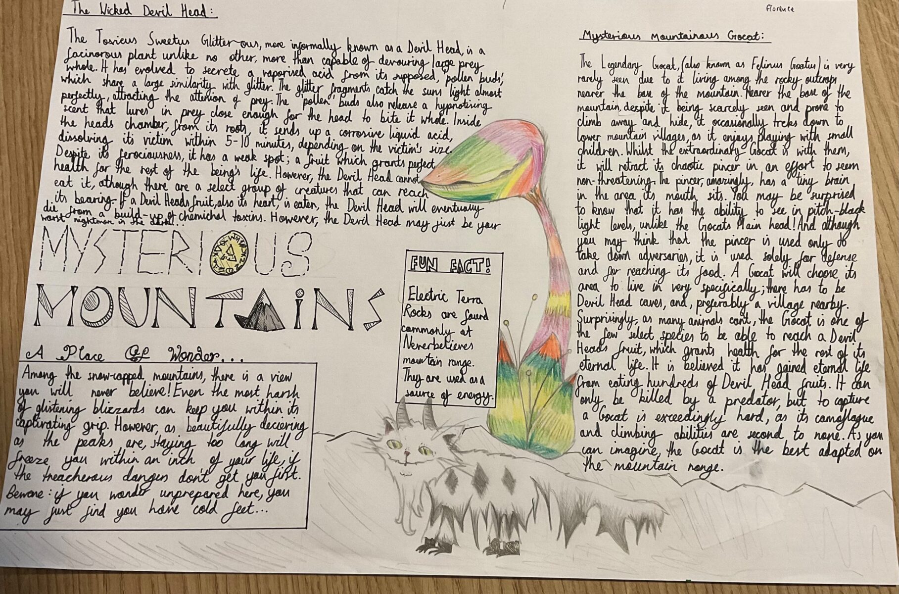 Writing - Christ Church CofE (VC) Primary School